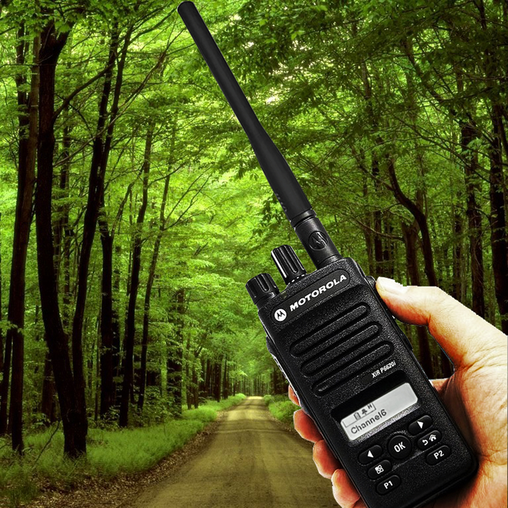 3 Máy Bộ Đàm Motorola Tốt Nhất Năm 2023